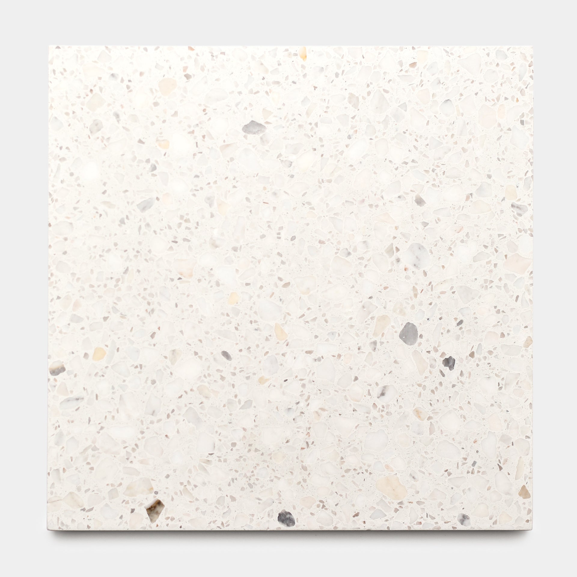 Neutra 12x12 Square Terrazzo Cement Tile – Zia Tile